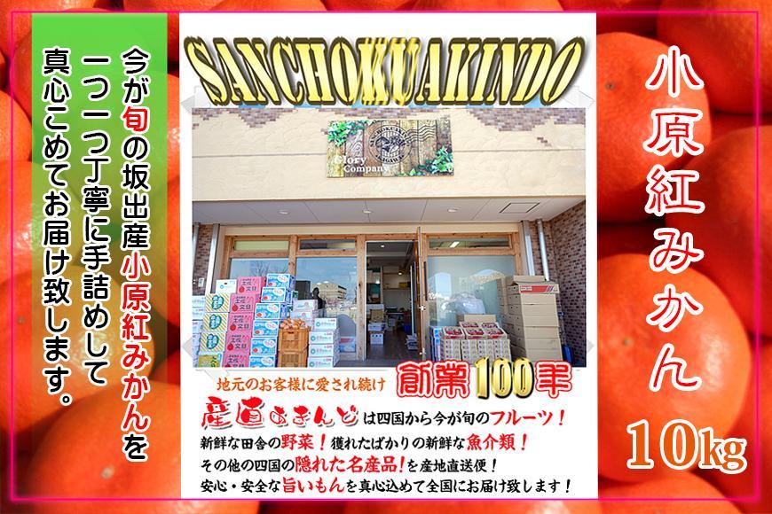 小原紅早生みかん 香川県産 約10kg ( S ～ Lサイズ ) ｜ みかん | JTBのふるさと納税サイト [ふるぽ]