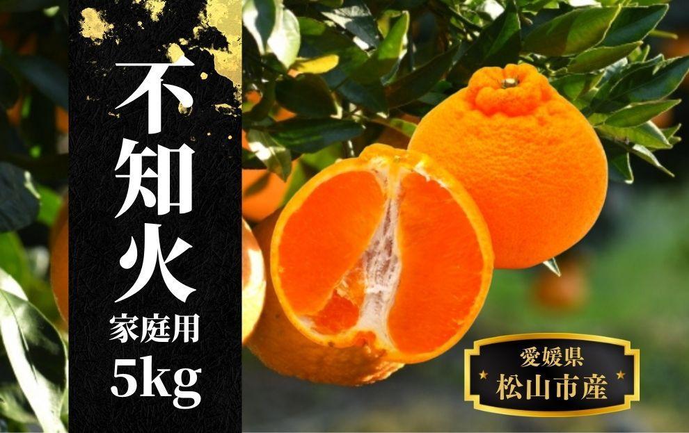 【不知火】家庭用 5kg ＜2023年2月末～4月頭頃発送＞ | JTBのふるさと納税サイト [ふるぽ]