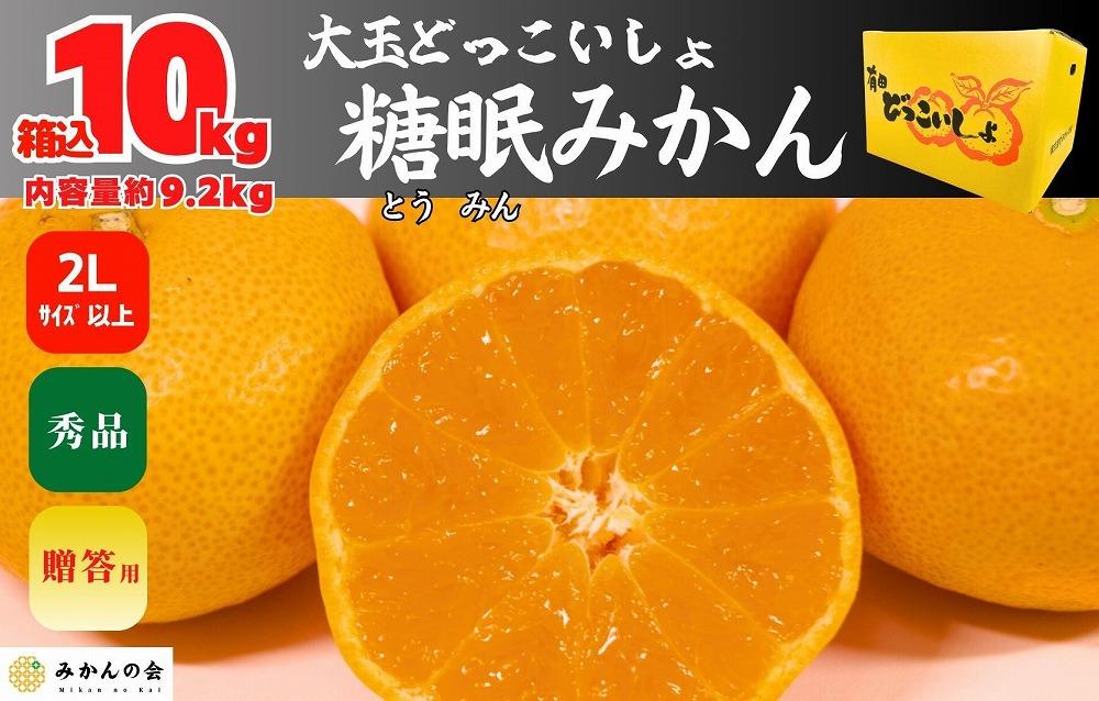 熟成みかん 大玉 箱込10kg ( 内容量 9.2kg ) 2Lサイズ以上 どっこいしょ 秀品 有田みかん 【みかんの会】 | JTBのふるさと納税サイト [ふるぽ]