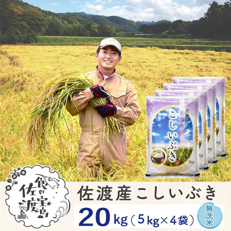 佐渡島産 こしいぶき 無洗米20kg(5kg×4袋)【令和5年産】～農薬5割減～ | JTBのふるさと納税サイト [ふるぽ]