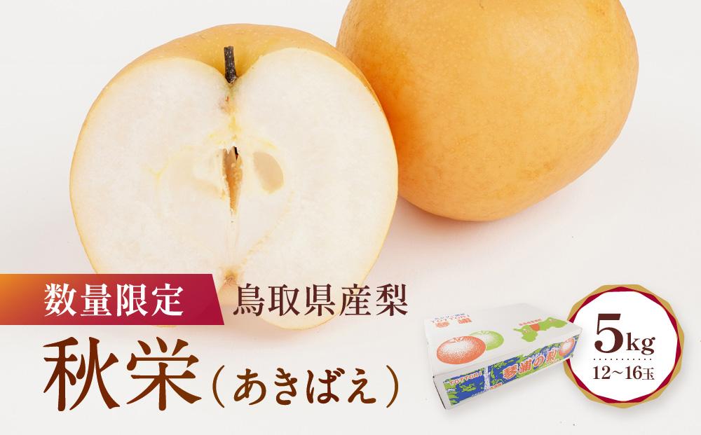 【先行予約】数量限定 鳥取県産梨 秋栄（あきばえ） 5kg（12～16玉） | JTBのふるさと納税サイト [ふるぽ]