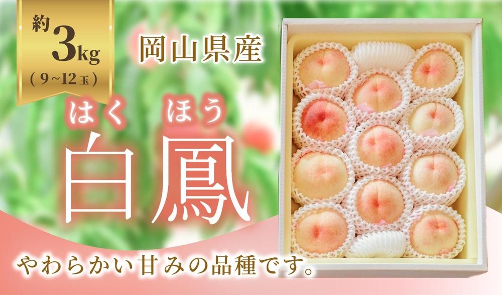 《2025年発送》岡山県産 桃 白鳳 約3kg 9〜12玉 | JTBのふるさと納税サイト [ふるぽ]