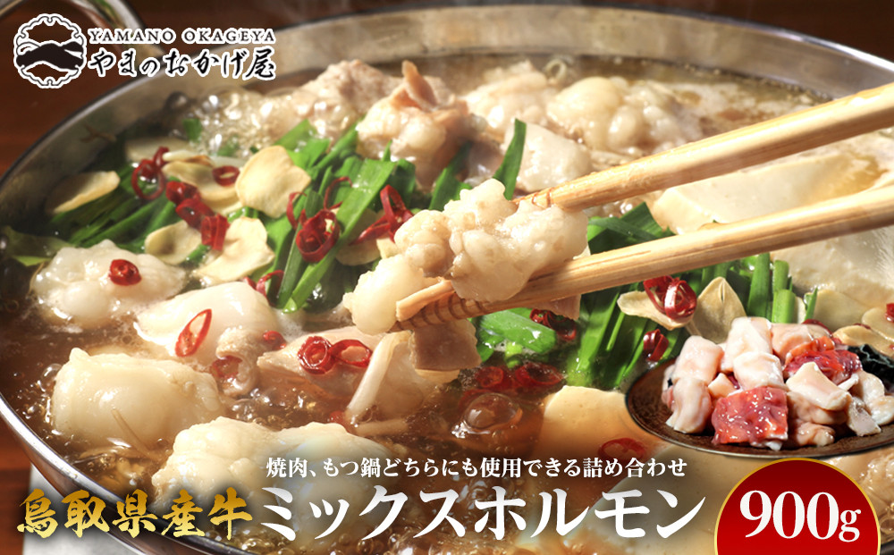 【ポイント交換専用】73.鳥取県産牛 ミックスホルモン 900g | JTBのふるさと納税サイト [ふるぽ]