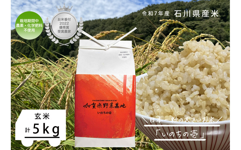 【お米番付優秀賞受賞農家】日本一粒の大きいお米『いのちの壱』玄米5kg | JTBのふるさと納税サイト [ふるぽ]