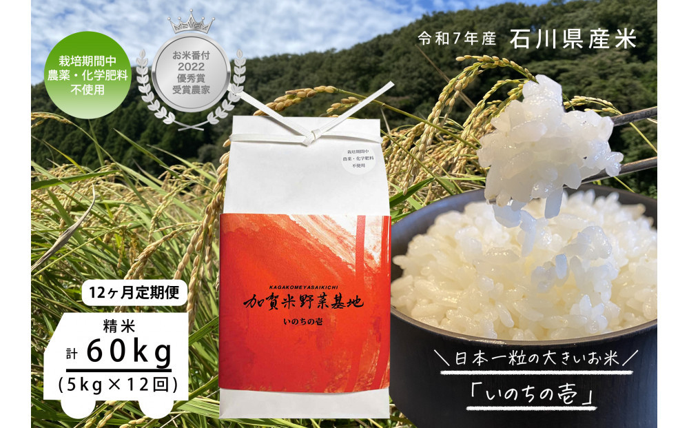 【12ヶ月定期便】【お米番付優秀賞受賞農家】日本一粒の大きいお米『いのちの壱』白米5kg×12回 | JTBのふるさと納税サイト [ふるぽ]