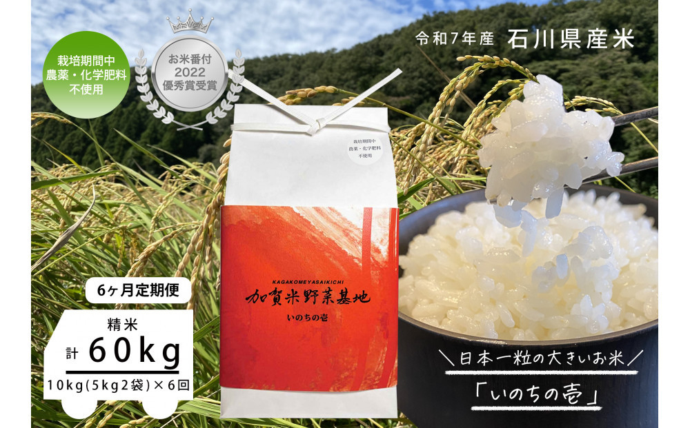 【6ヶ月定期便】【お米番付優秀賞受賞農家】日本一粒の大きいお米『いのちの壱』白米10kg×6回 | JTBのふるさと納税サイト [ふるぽ]