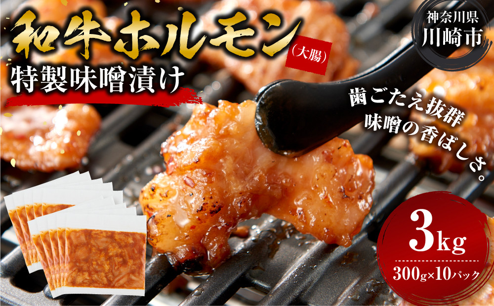 ＜訳アリ＞和牛ホルモン（大腸） 特製味噌漬け 3kg(300g×10）【2026年10月発送】 | JTBのふるさと納税サイト [ふるぽ]