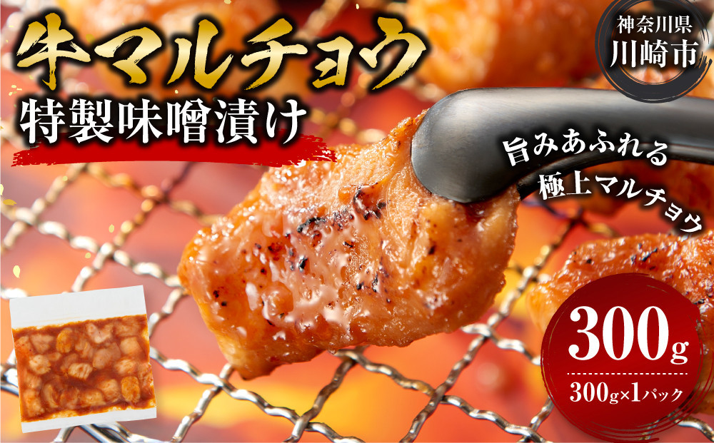 ＜訳アリ＞牛マルチョウ 特製味噌漬け 0.3kg(300g×1）【2026年4月発送】 | JTBのふるさと納税サイト [ふるぽ]