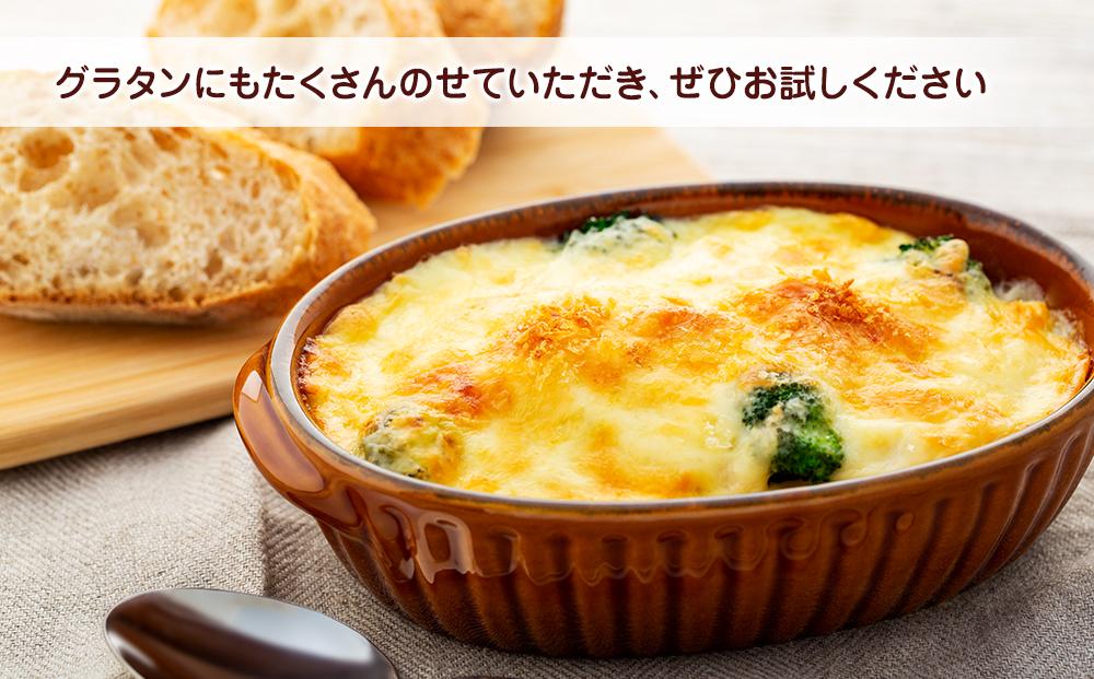 4種のシュレッドチーズ 10kg （1kg×10袋）業務用 大容量【チーズ 乳製品 加工食品 シュレッドチーズ 愛知県 長久手市 BE004】 | JTBのふるさと納税サイト [ふるぽ]