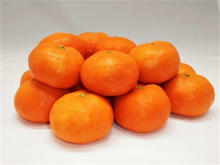 紀州完熟みかん3kg（2Lサイズ） | JTBのふるさと納税サイト [ふるぽ]