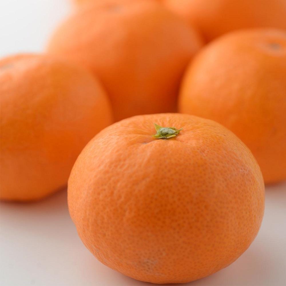 有田みかん 約10kg 大玉（2L～3Lサイズ）【旬の味覚市場】 | JTBのふるさと納税サイト [ふるぽ]