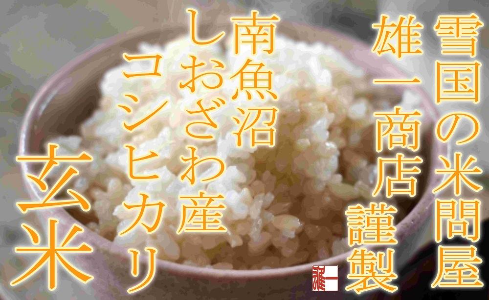 玄米 【定期便4Kg×3ヶ月】 生産者限定 南魚沼しおざわ産コシヒカリ | JTBのふるさと納税サイト [ふるぽ]