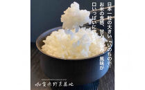 【お米番付優秀賞受賞農家】日本一粒の大きいお米『いのちの壱』白米10kg | JTBのふるさと納税サイト [ふるぽ]