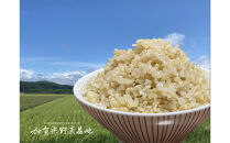 【お米番付優秀賞受賞農家】日本一粒の大きいお米『いのちの壱』玄米15kg | JTBのふるさと納税サイト [ふるぽ]